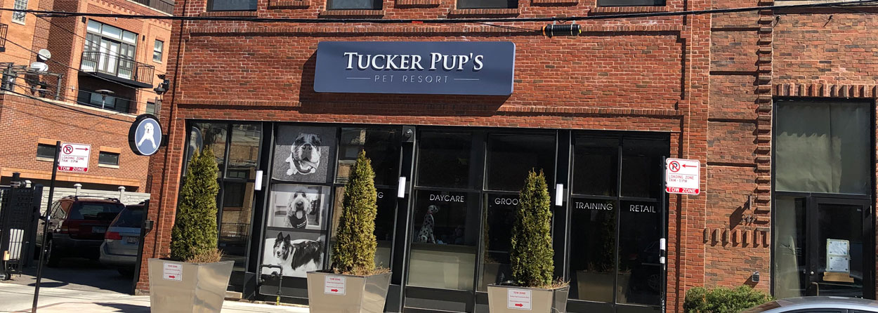 Chicago Dog Boarding and More | Tucker Pup's Pet Resort